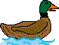 Ente — Gif & Clipart