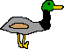 Ente — Gif & Clipart
