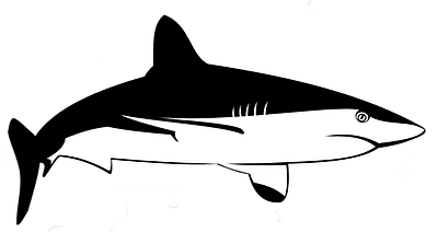 Hai — Gif & Clipart