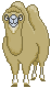 Kamel — Gif & Clipart