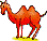 Kamel — Gif & Clipart